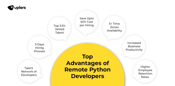 How Remote Python Developer Jobs Save Your Company Investment?