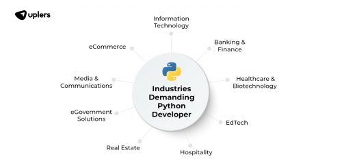 How Remote Python Developer Jobs Save Your Company Investment? - Uplers